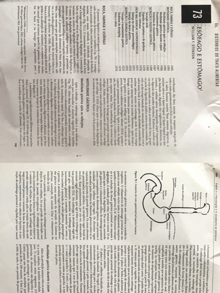 Shils - Cap - Boca, Esôfago e Estômago | PDF