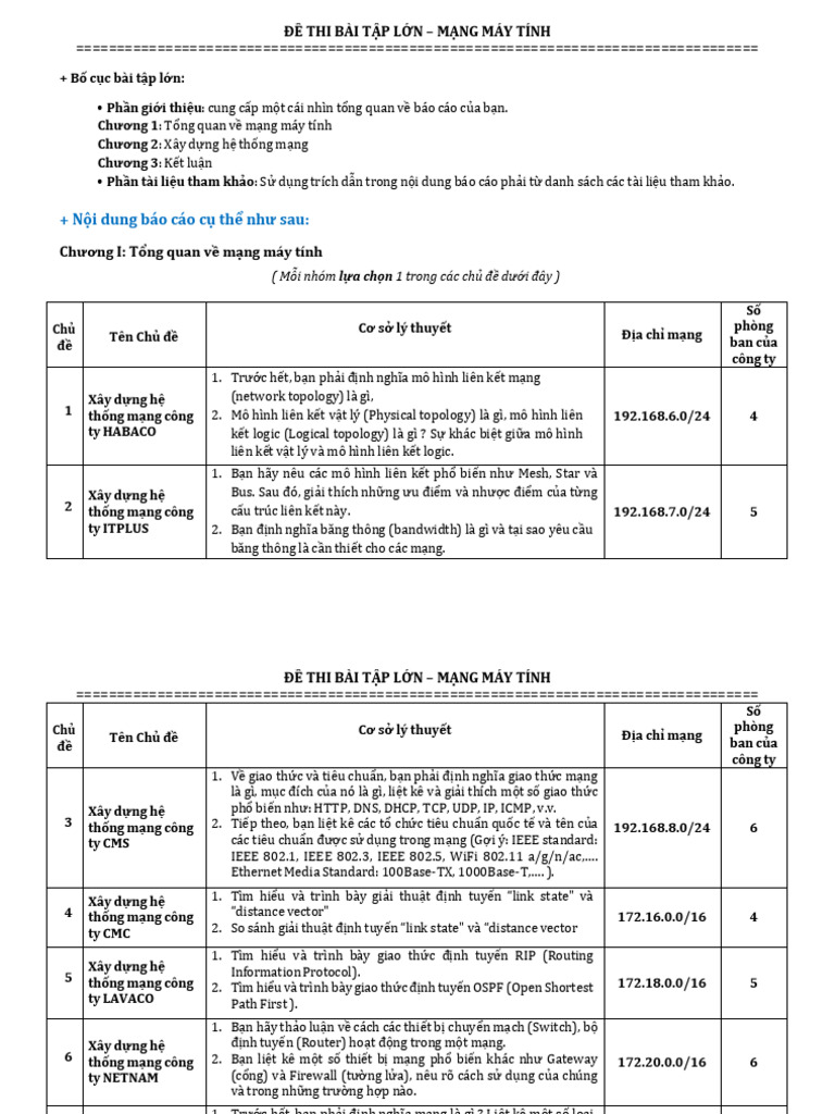 de Thi - Mang May Tinh (Chu de 1-10) - Final | PDF