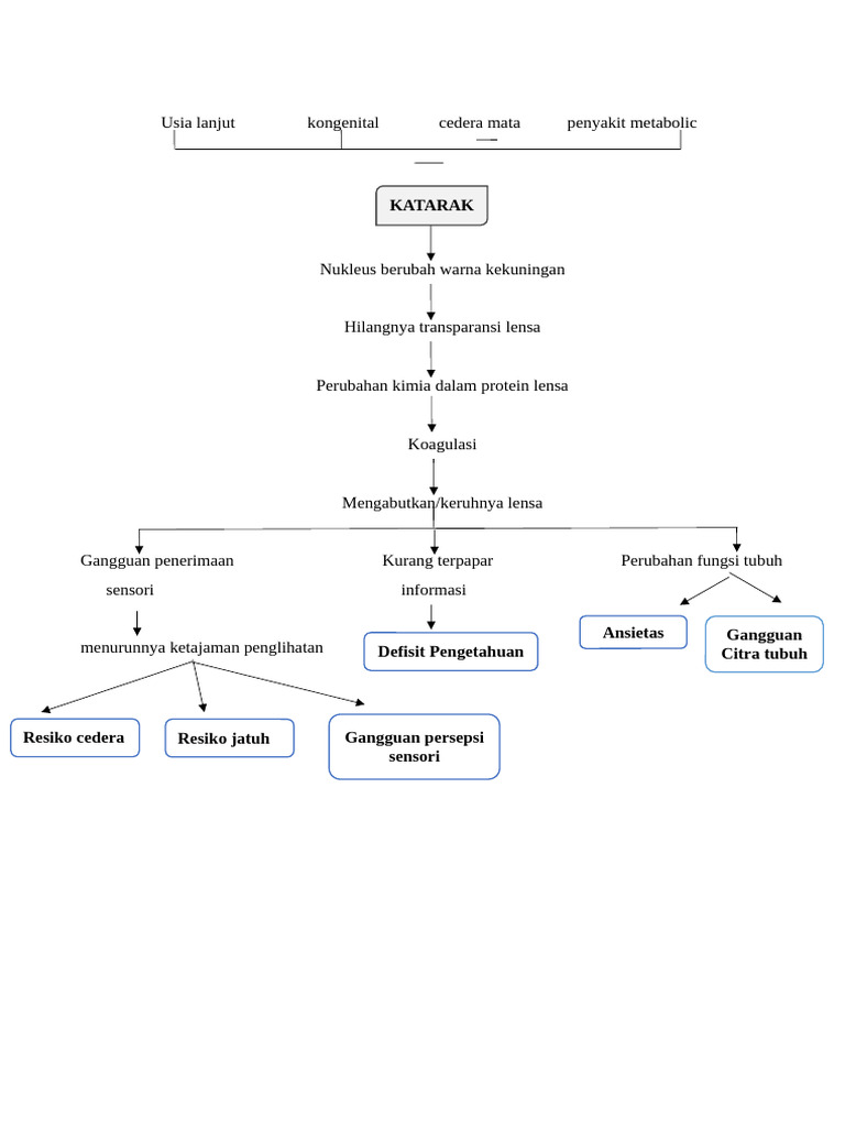 Pathway Katarak | PDF
