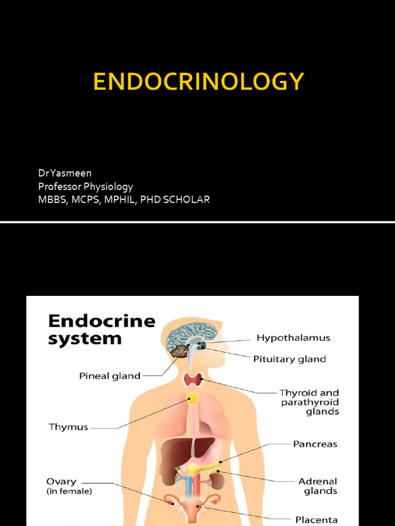 Endocrinology | PDF