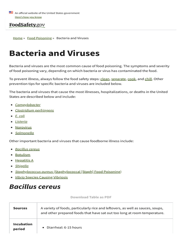 Bacteria and Viruses | PDF