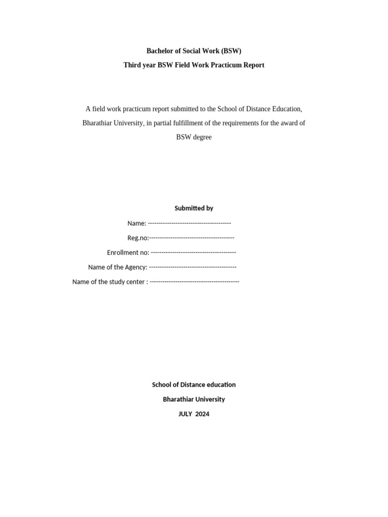 BSW Field Work Practicum Report | PDF