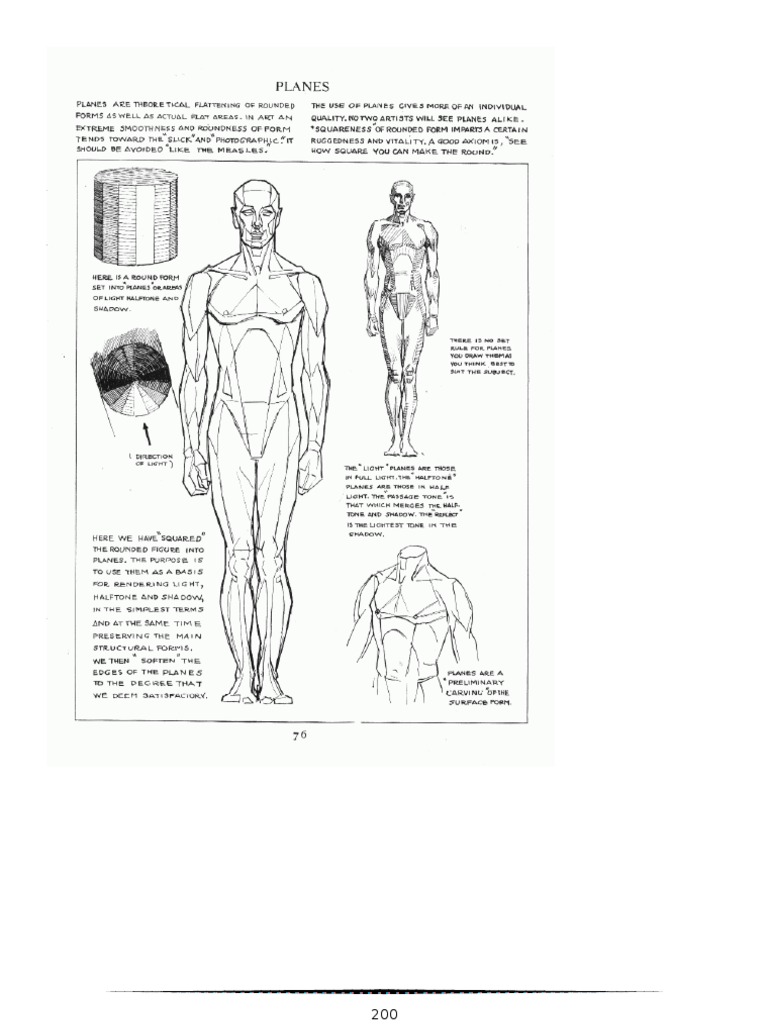 Anatomy Drawing Part (3) | PDF