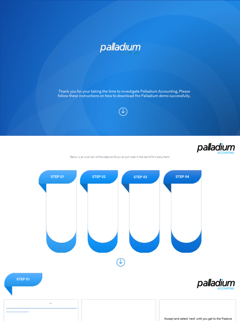 Palladium Download and Setup | PDF