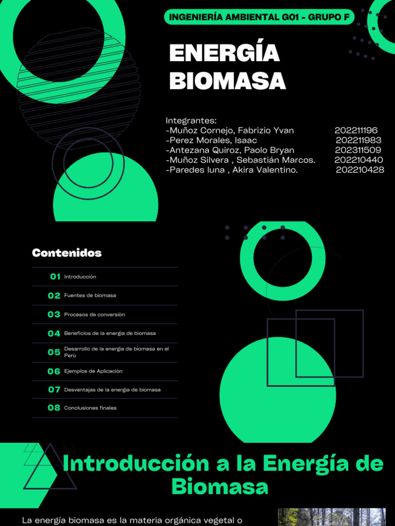 Energía Biomasa - Ingeniería Ambiental | PDF