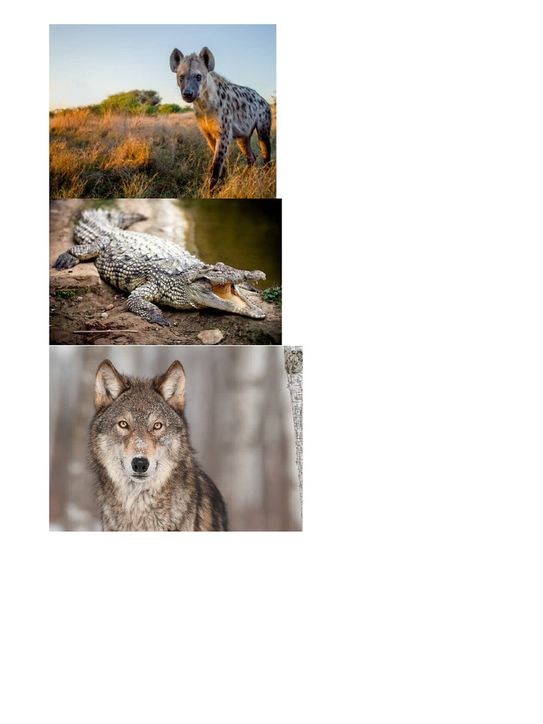 New Microsoft Word Document | PDF