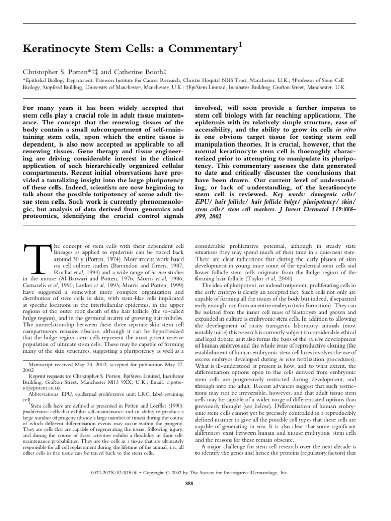 Keratinocyte Stem Cells | PDF | Stem Cell | Cell Potency