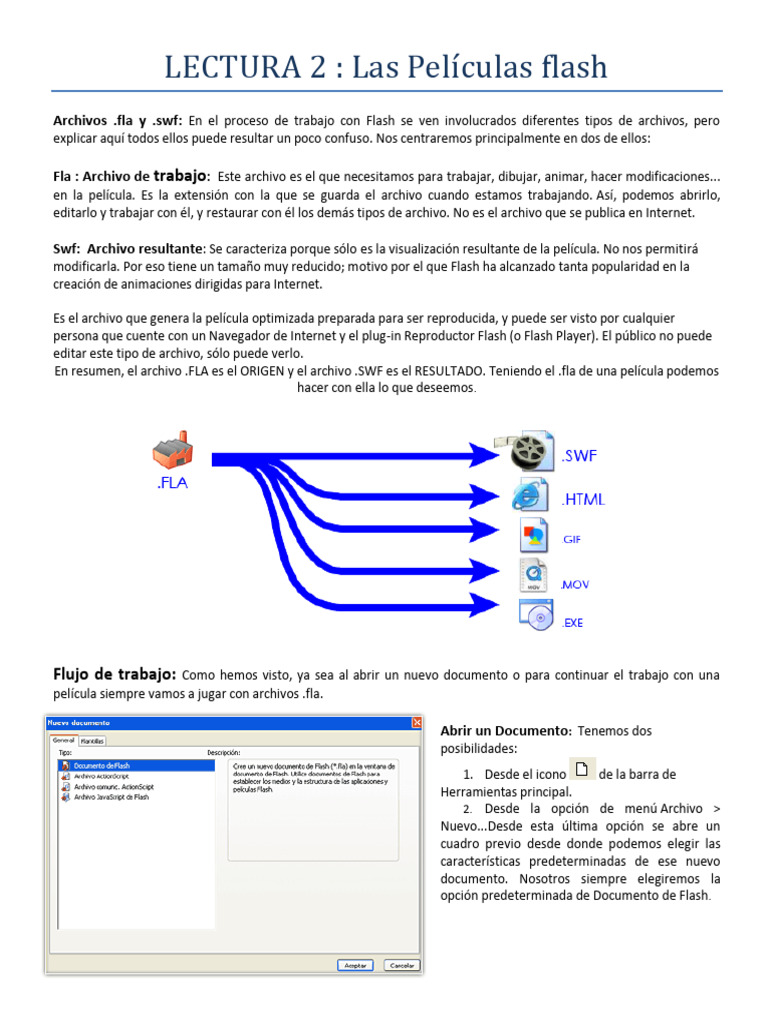 Lectura 2 Archivos Flash | PDF