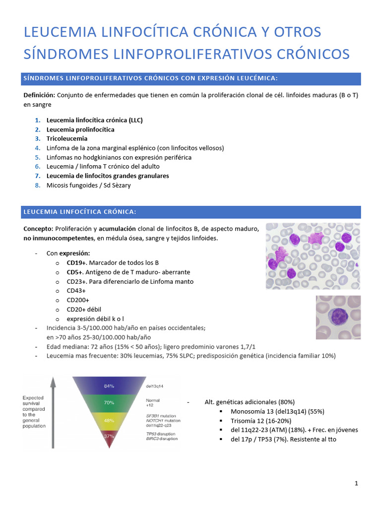 Leucemia Linfocítica Crónica Y Otros Síndromes Linfoproliferativos ...
