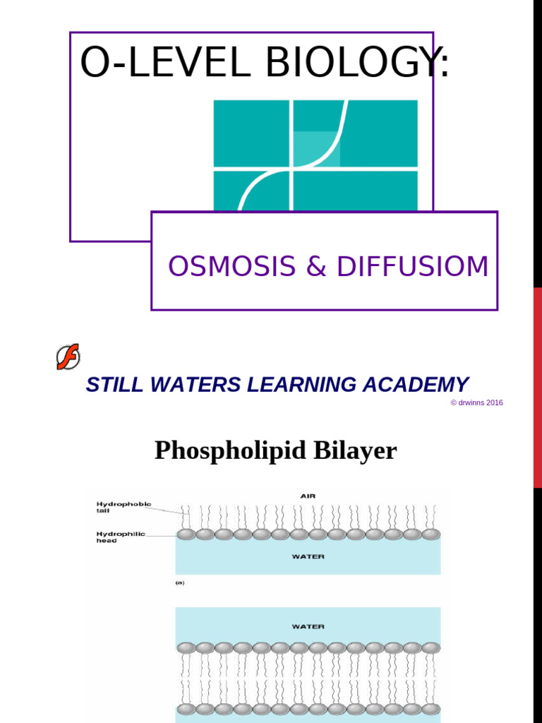 5.osmosis & Diffusion | PDF