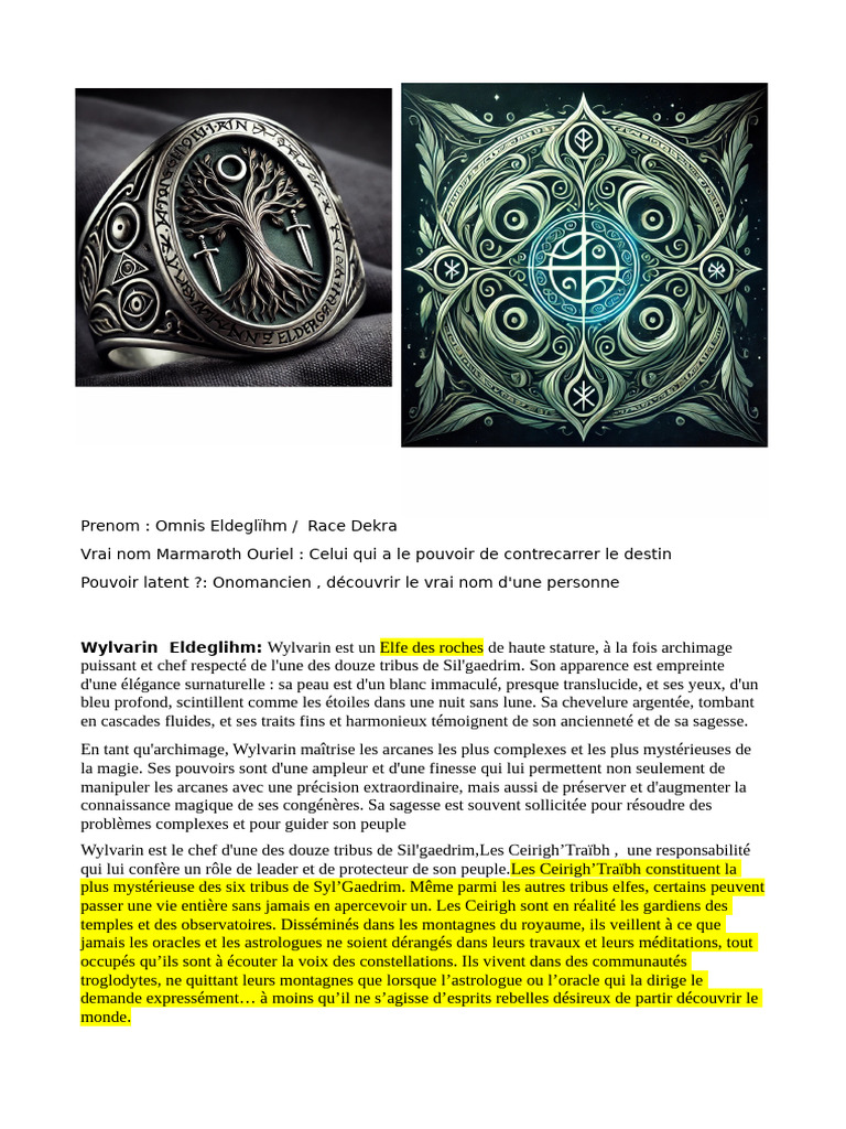 Questionnaire BG - Omnis | PDF