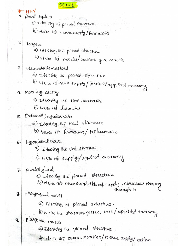 Bds Gross Anatomy Spotters Question 4 Sets | PDF