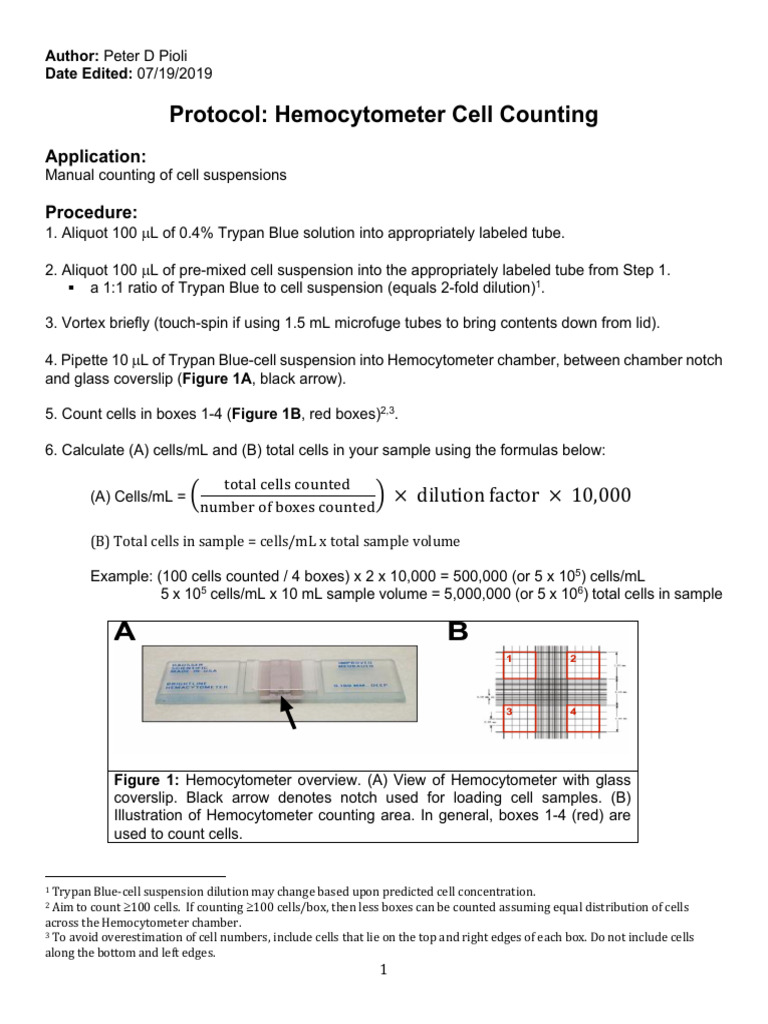 Hemacytometer Cell Counting | PDF