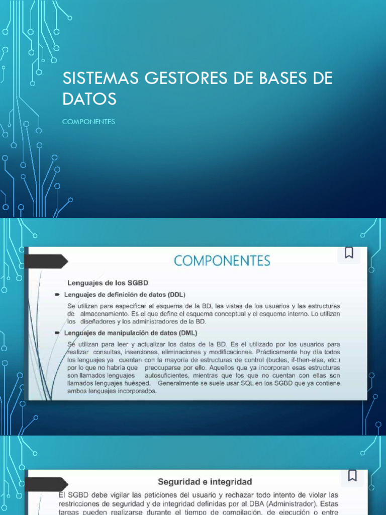 Sistemas Gestores De Bases De Datos Componentes Pdf