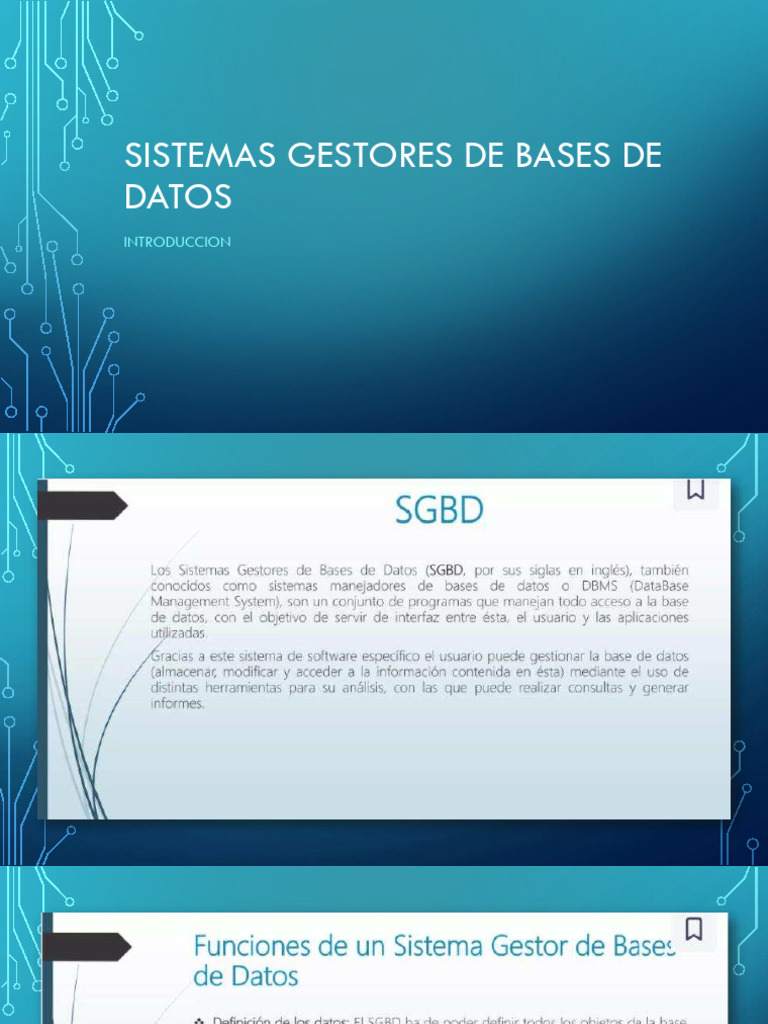 Sistemas Gestores de Bases de Datos - Introduccion | PDF | Informática