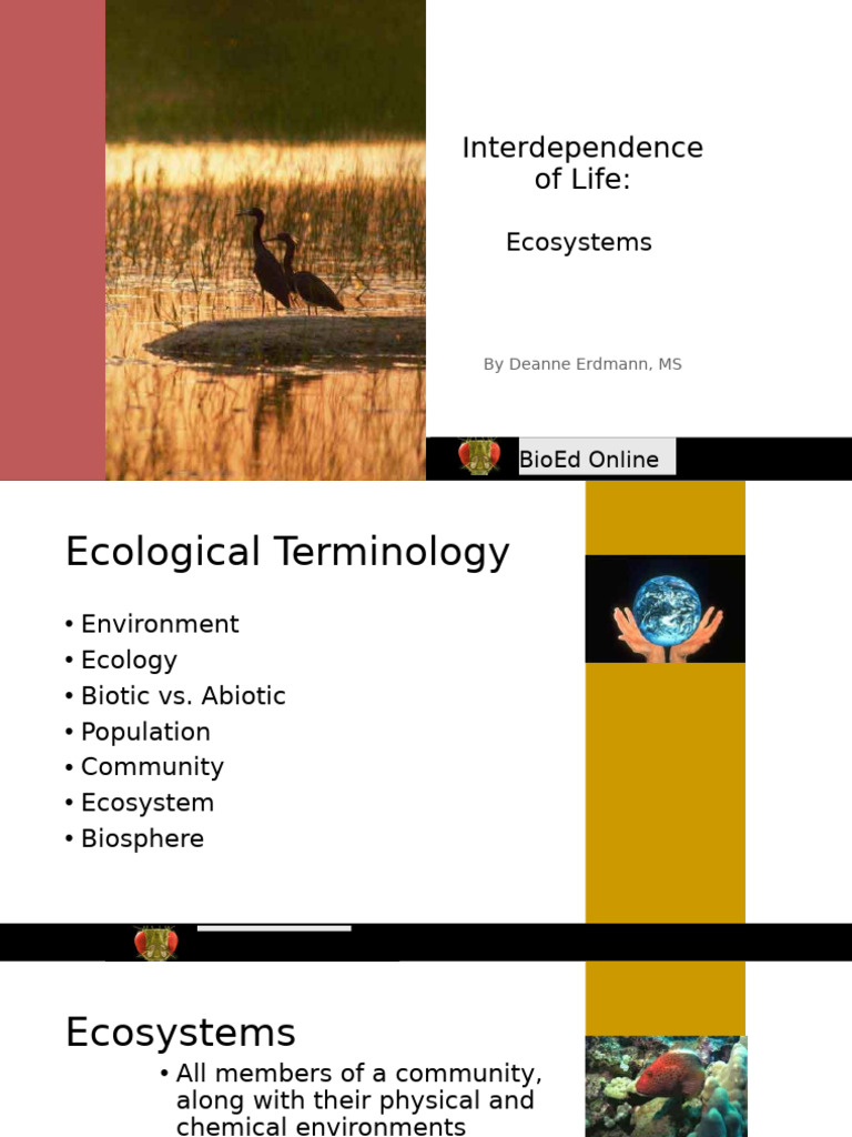 Interdependence of Life:: Ecosystems | PDF