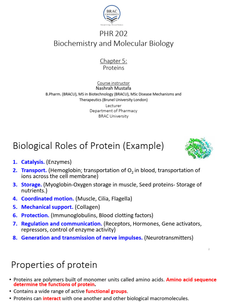 Protein 1 | PDF
