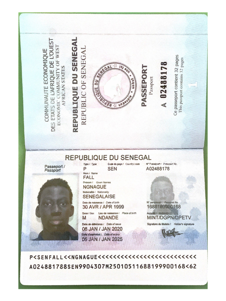 Tall - Moussa@wanadoo - FR 116791 Passeport | PDF