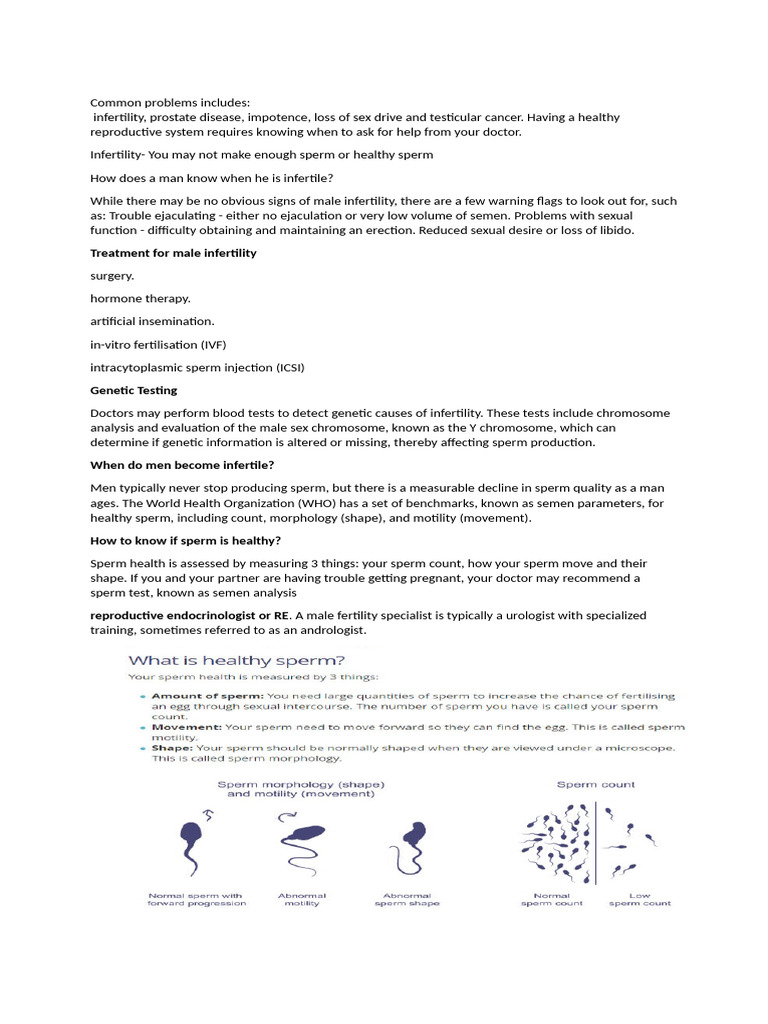 Male Reproductive System Pdf