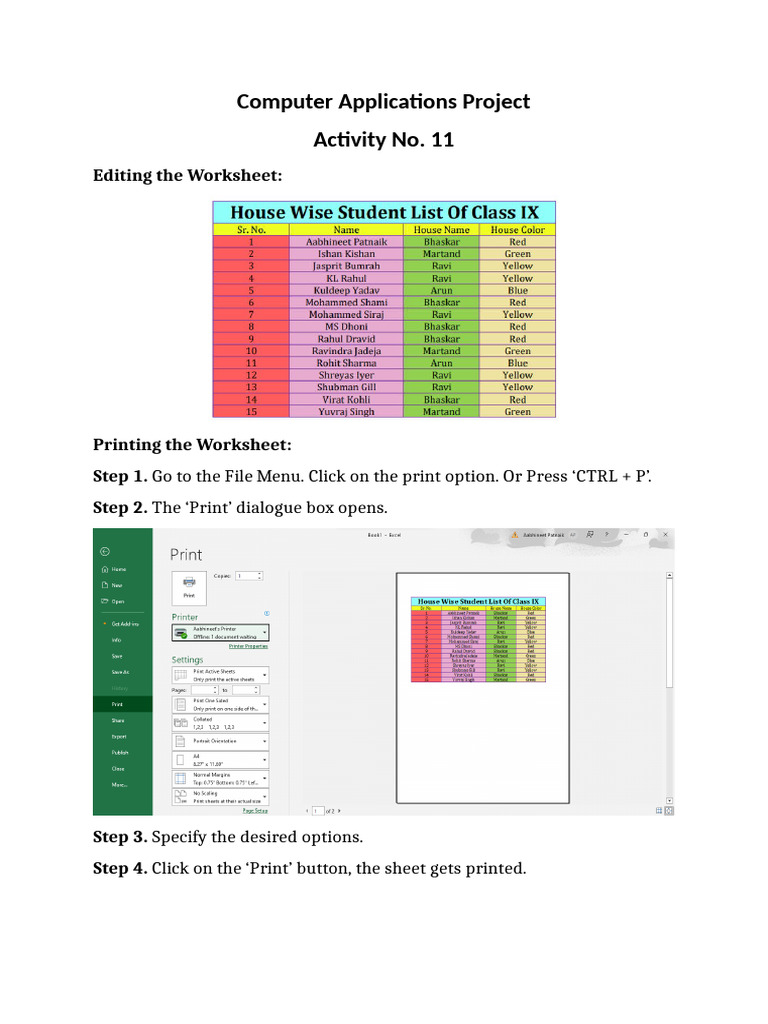 Computer Applications Project Activity No. 11 | PDF