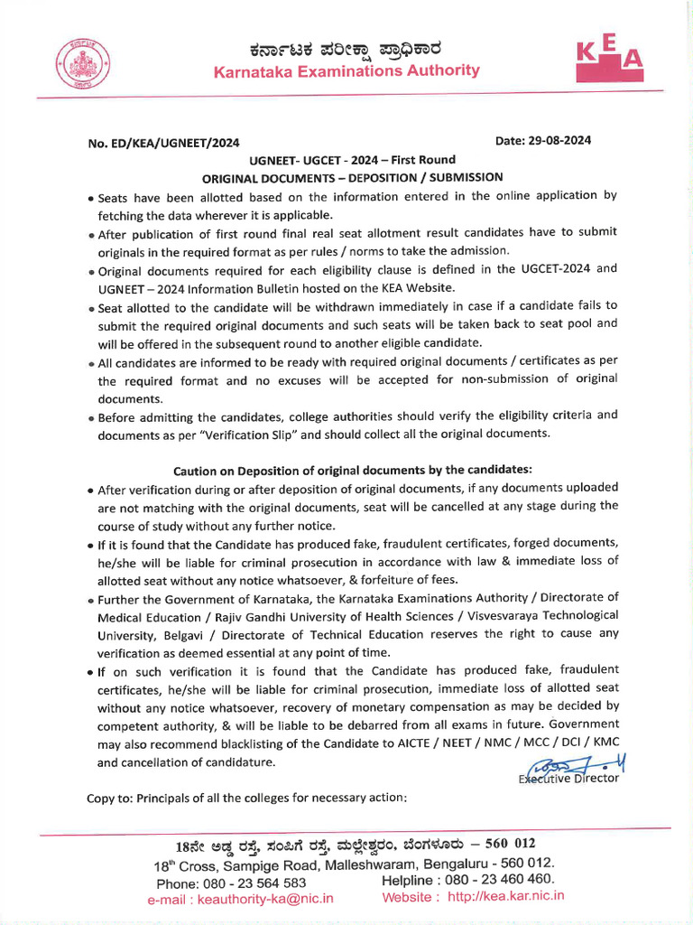Original Document Submissionenglish | PDF