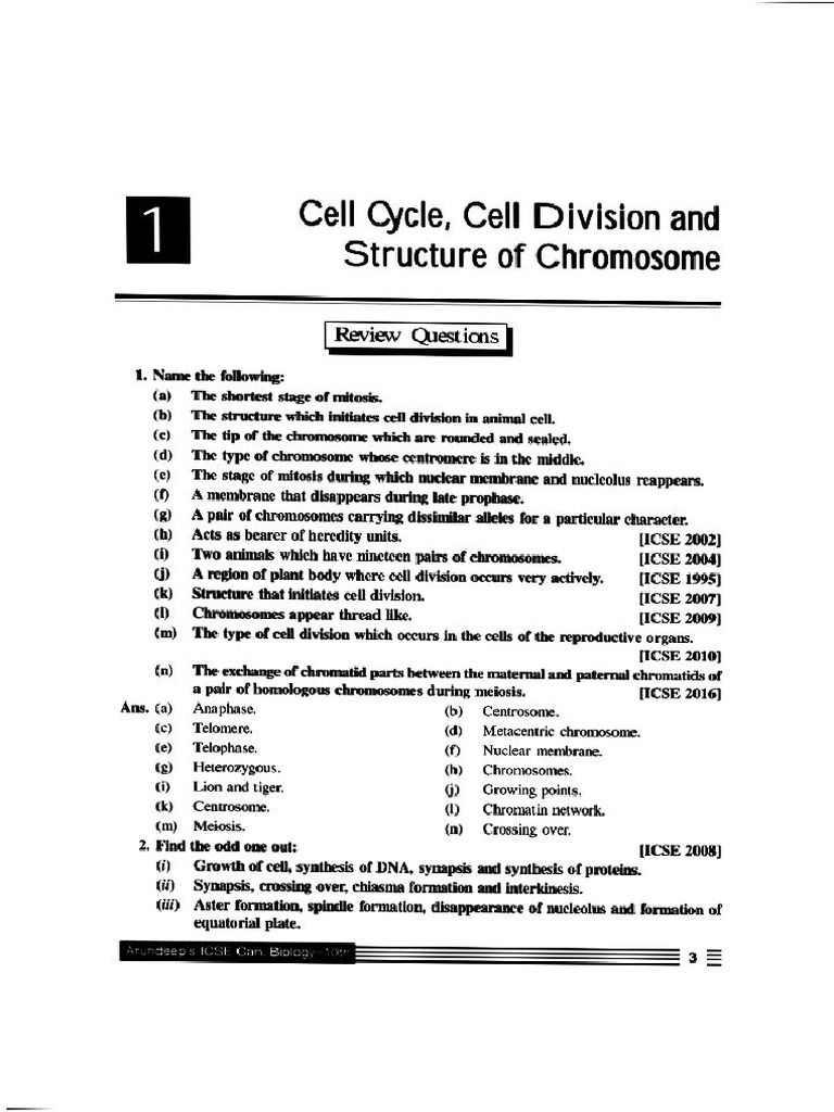 cell cycle exercises | PDF