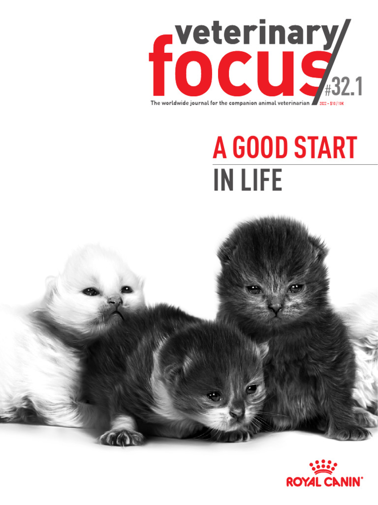 Vet Focus Start of Life | PDF