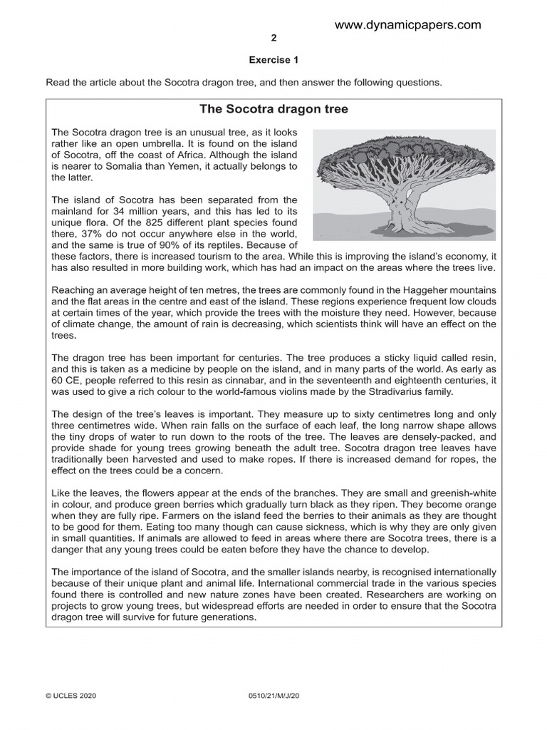 Y9 English ESL | PDF