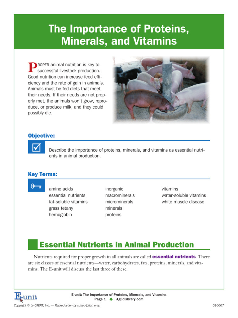 Understanding Nutrients and Their Importance Handout 2 | PDF