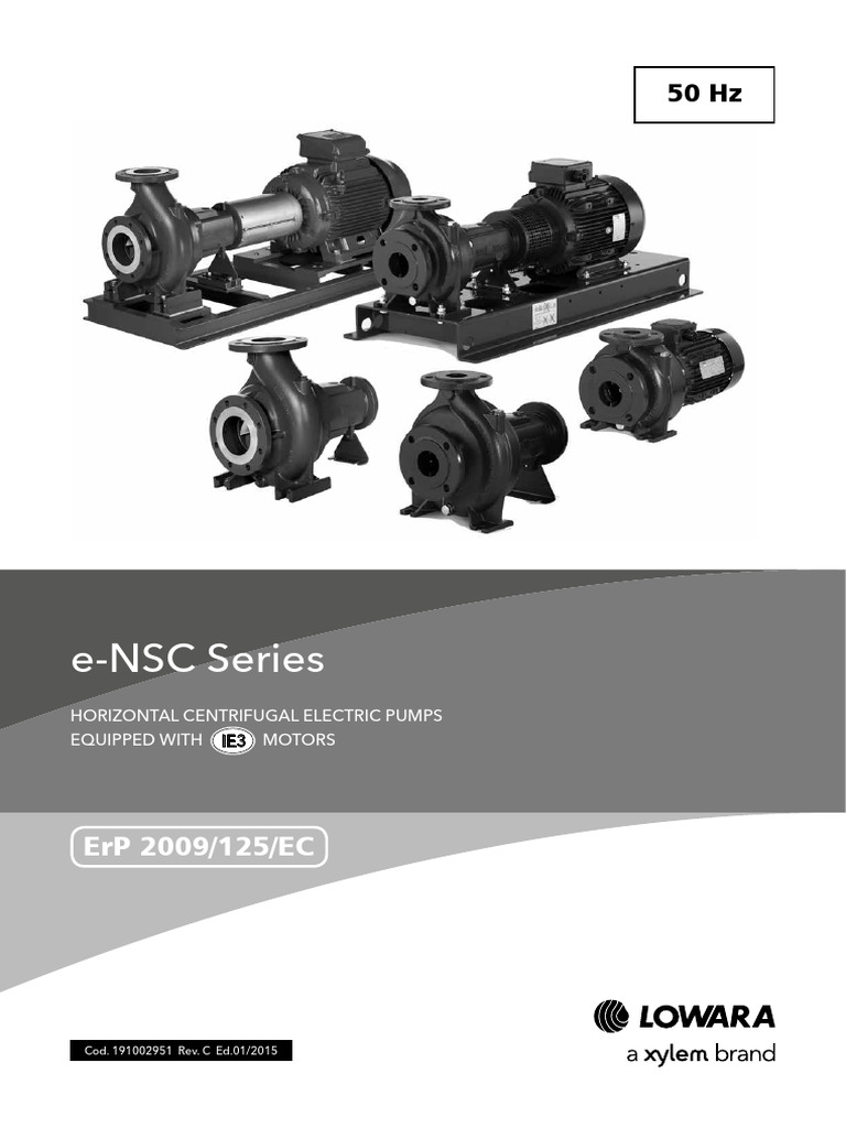 Pump Selection | PDF