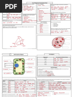 Curriculum (SYLLABUS) CD - Cambridge - Science - Y8 | PDF