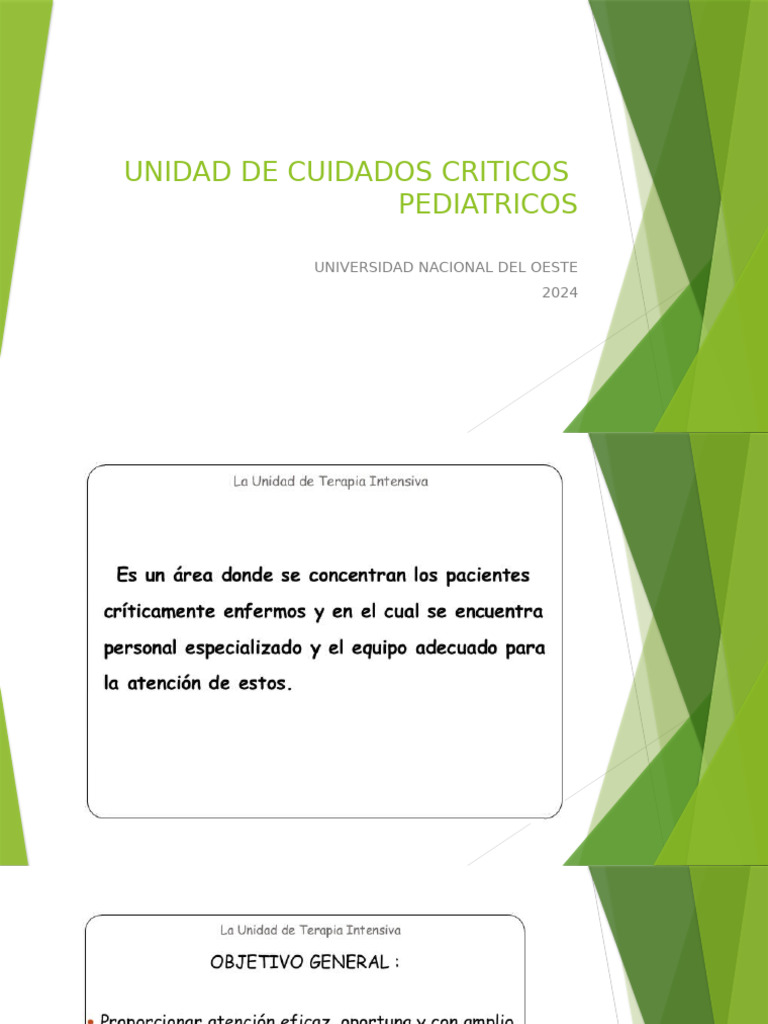 Unidad de Cuidados Criticos 2024 | PDF