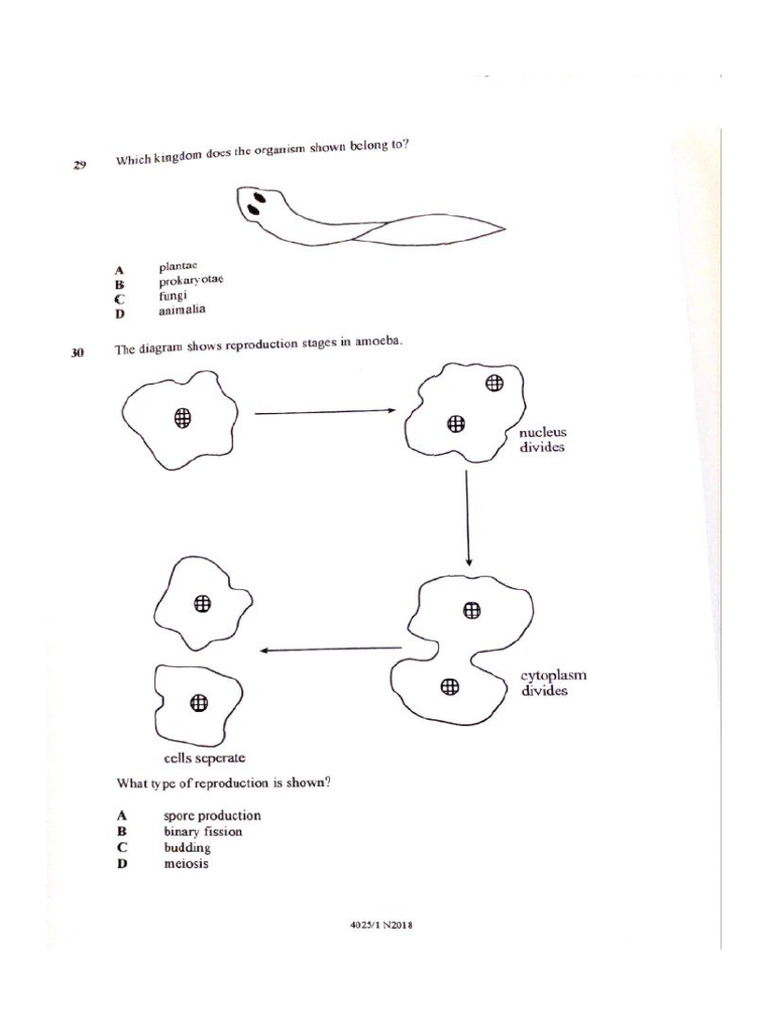 Biology 5 | PDF