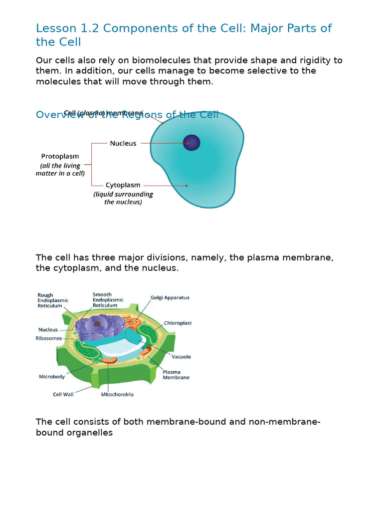Gen bio lesson 1.2 | PDF