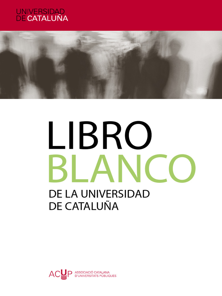 Libro Blanco | PDF