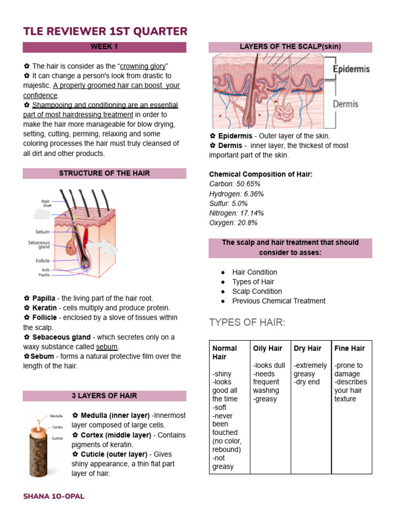 Tle 1ST Quarter Reviewer | PDF