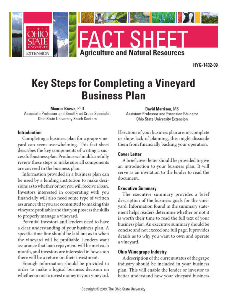 Key Steps For Completing A Vineyard | PDF