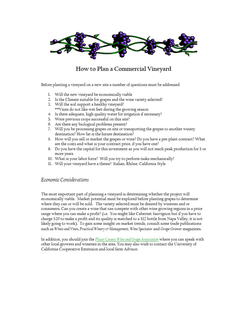 Vineyard Planning | PDF