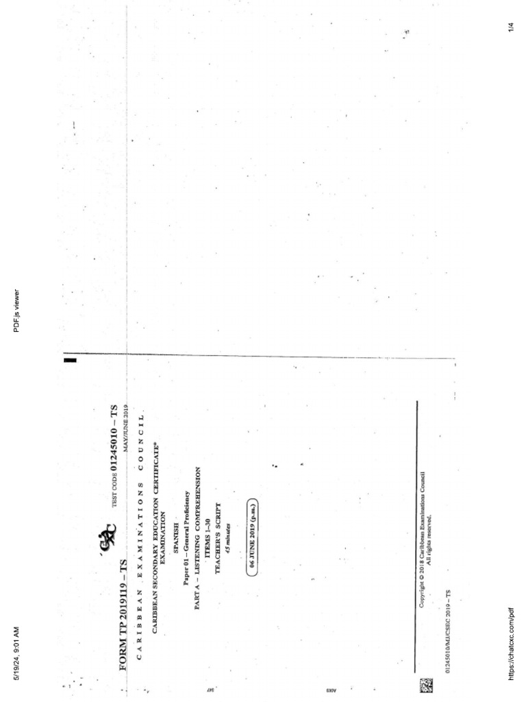 Spanish 2019 P1 | PDF