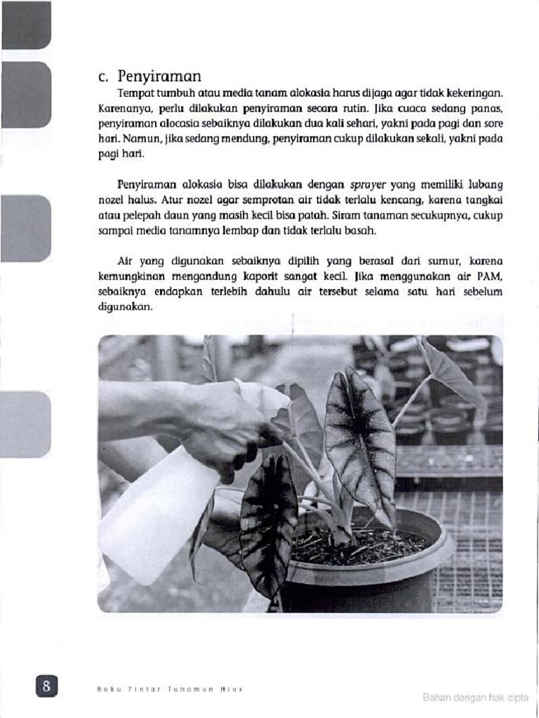Ensiklopedia Tanaman Halaman 13 | PDF