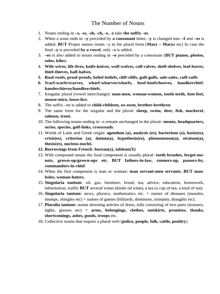 The Number of Nouns | PDF