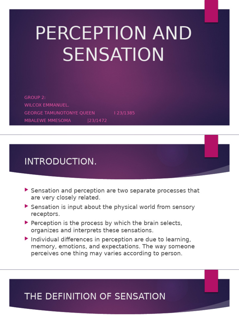 Sensation & Perception in Design | PDF | Senses | Perception