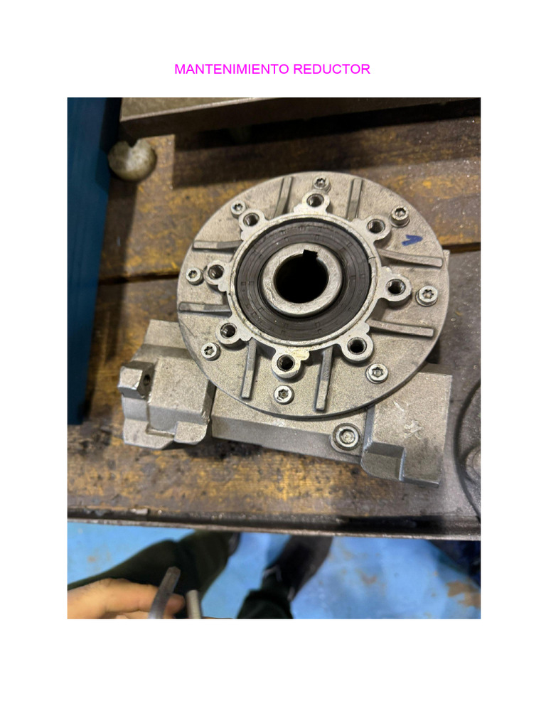 Mantenimiento Reductor | PDF