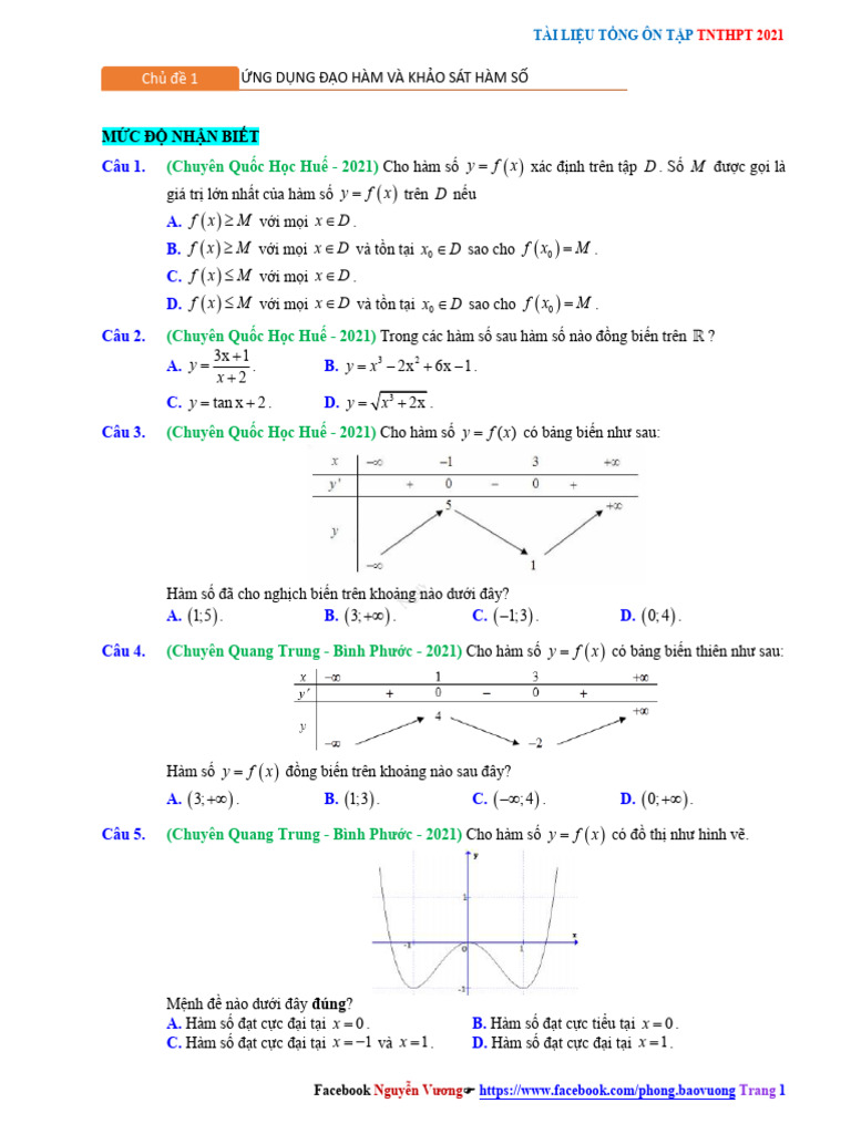 Tong On Tap TN THPT 2021 Mon Toan Ung Dung Dao Ham Va Khao Sat Ham So | PDF