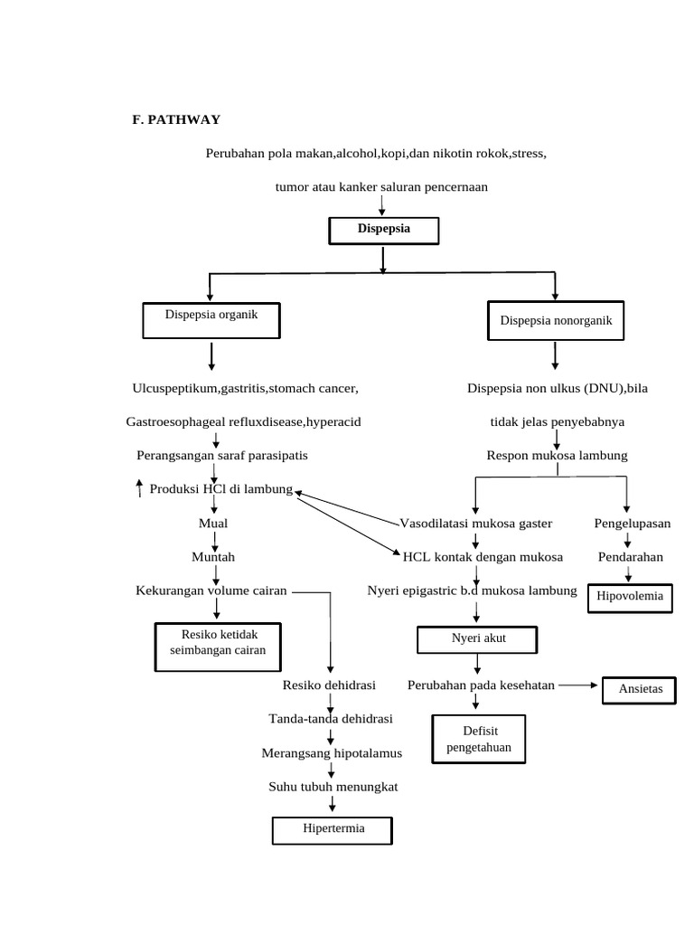LP Dispepsia Indah Revisi | PDF