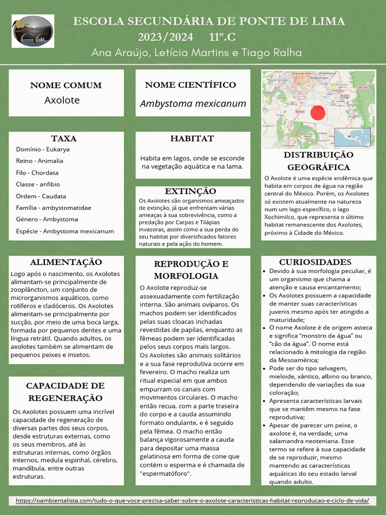 Axolote Xântico: Habitat e Conservação | PDF