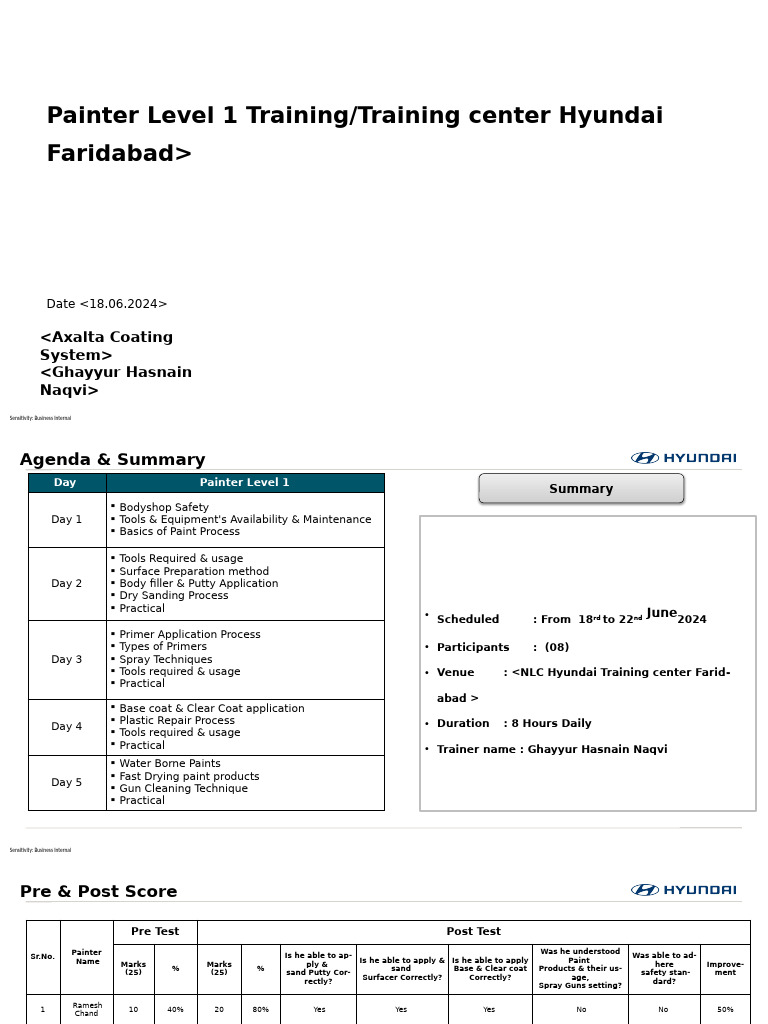HMIL (Painter Level 1 OJT Report Format) .PPTM | PDF