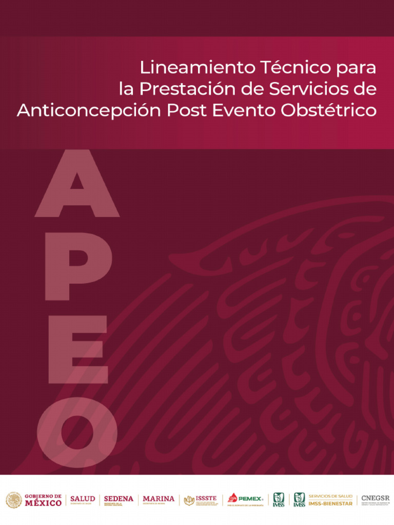 Lin APEO 2024 | PDF