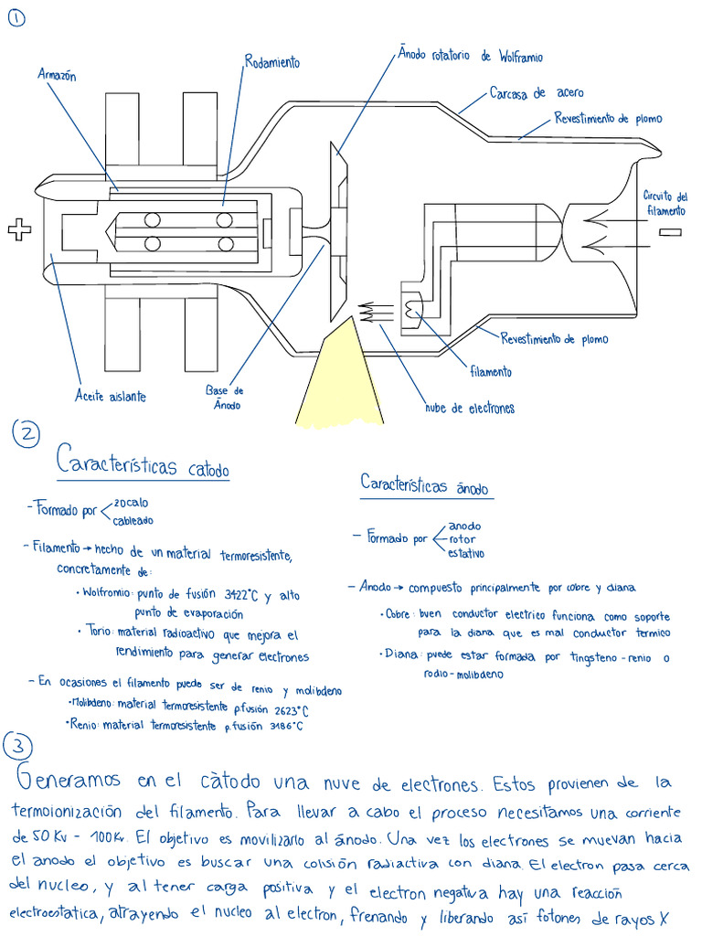 Ejercicio UF2 | PDF