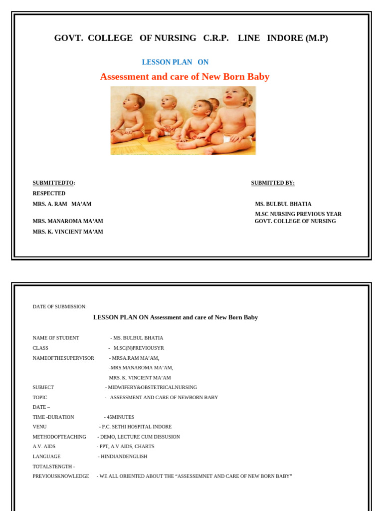 lesson plan on newborn | PDF